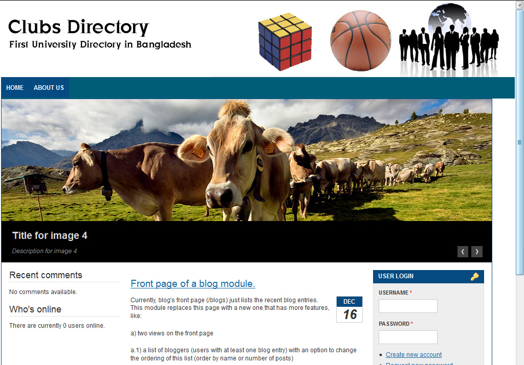 how-to-change-grid-width-in-css-1373368-drupal